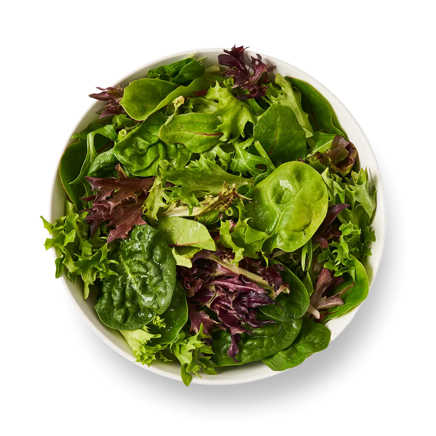 Menu – Rōti Modern Mediterranean
